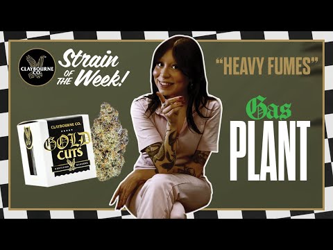 GAS PLANT IS A PETROL POWER HOUSE! - Strain Of The Week