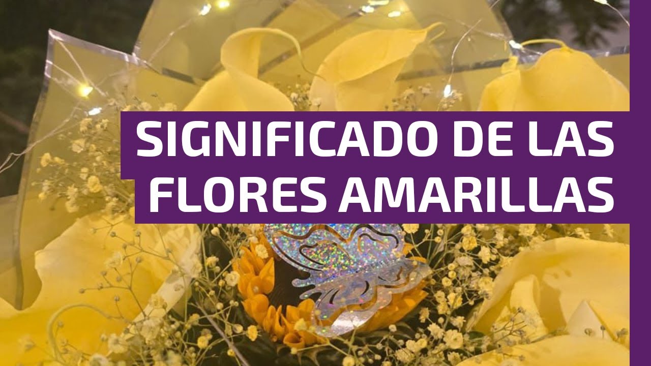 ¿Por qué regalar flores amarillas este 21 de septiembre de 2025?