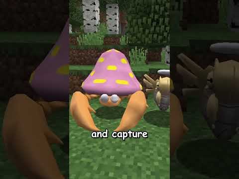 The Top 5 Most POPULAR Minecraft Modpacks