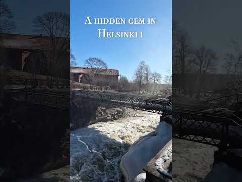 Spring in Helsinki! 🇫🇮Amazing Place & Weather! #shorts #helsinki #finland #suomi @MyHelsinki 