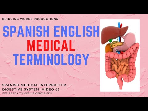 Spanish English Medical Interpreter Translator - Medical Terminology - Digestive System Video 6