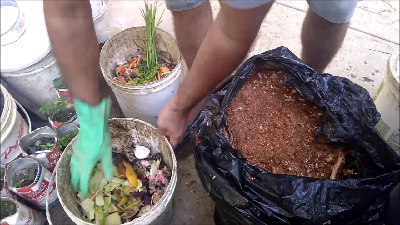 How to make organic fertilizer with kitchen waste without bad smells and leachate