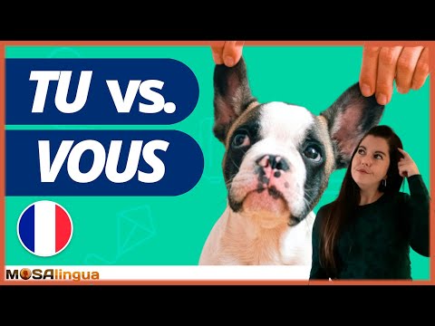 How to Say "You" in French | Tu vs. Vous [VIDEO] - MosaLingua
