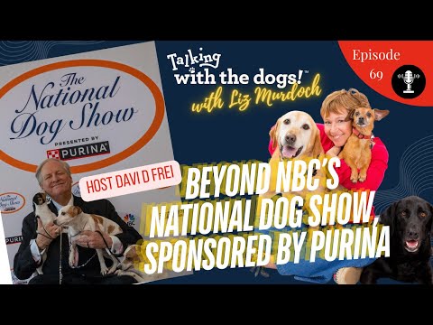 Thanksgiving Special: Dogs Help Families During Holidays | NBC National ...