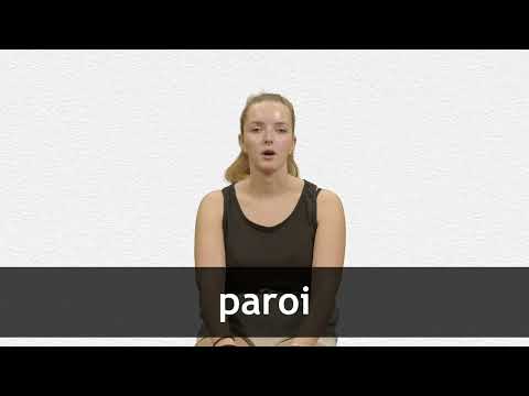 English Translation of “PAROI” | Collins French-English Dictionary