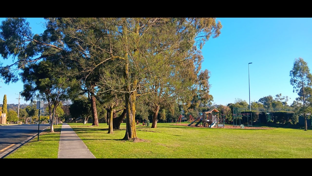 What makes a near perfect walking score