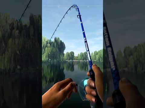 Fishing Planet Weeping Willow Unique Leather Carp #fishingplanet #gaming #fishing #fish