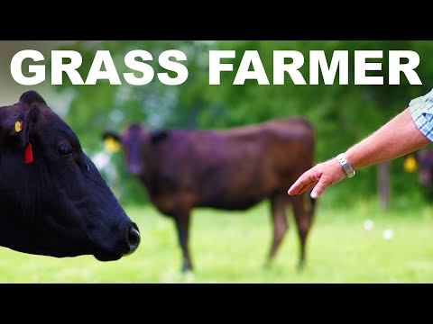 The right way to raise beef