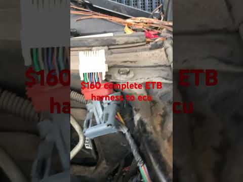 Chevy 6.0 Fix for reduced engine power w/ throttle body codes. #wiringharness #repair #goldplated
