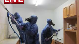 3 Best Pest Control in Saskatoon, SK - Expert Recommendations