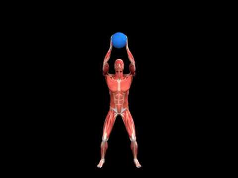 Medicine Ball Overhead Chop | myworkouts.io