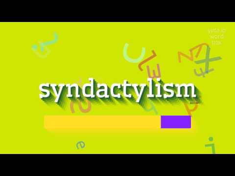 HOW TO SAY SYNDACTYLISM? #syndactylism