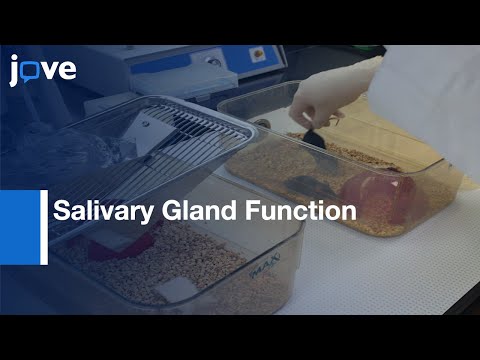 Salivary Gland Function Measurement | Protocol Preview