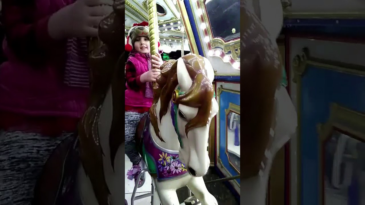 Carousel Ride in Oregon Zoo.