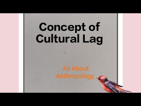 Cultural Lag by Ogburn #anthropology #sociology #ugcnet