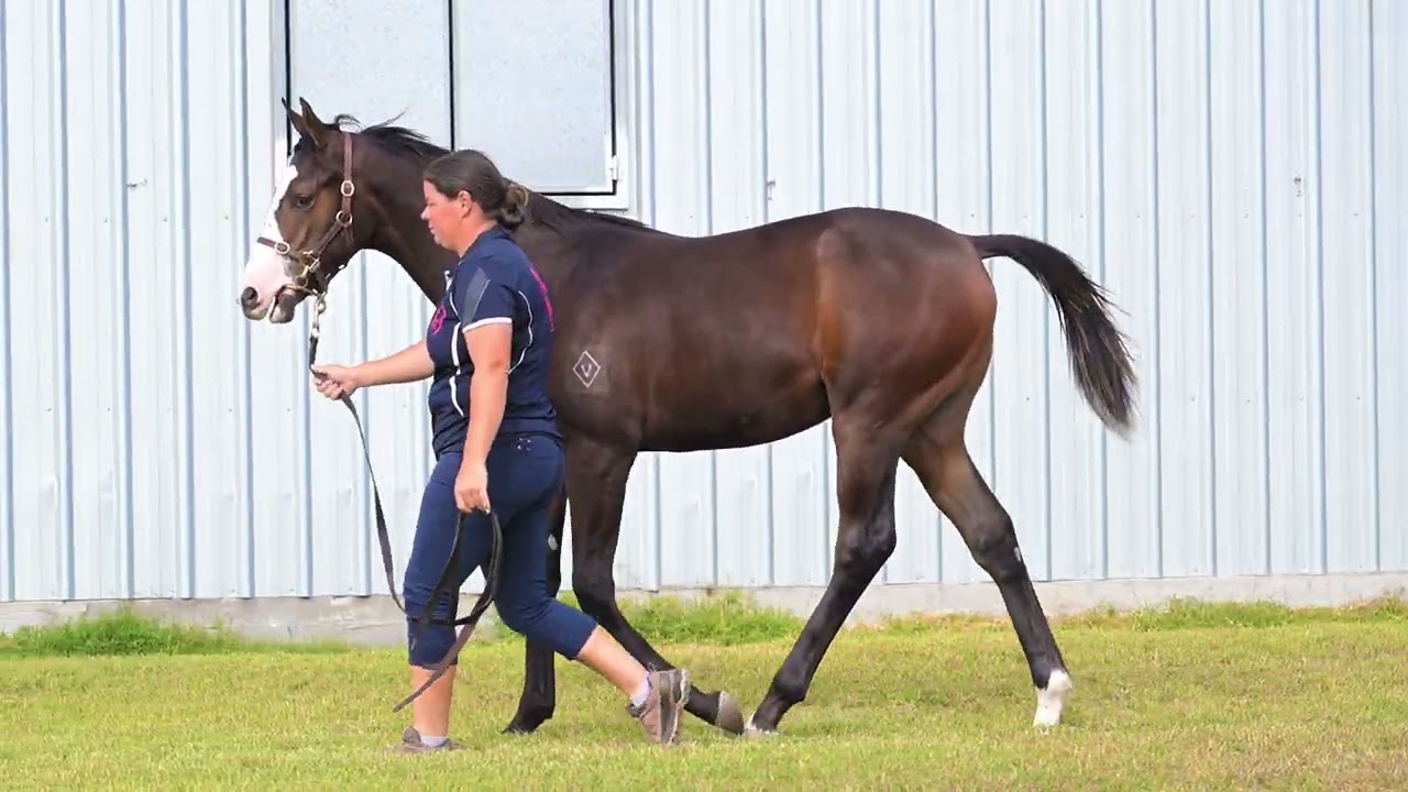 Lot 189 Noble Bend Farm