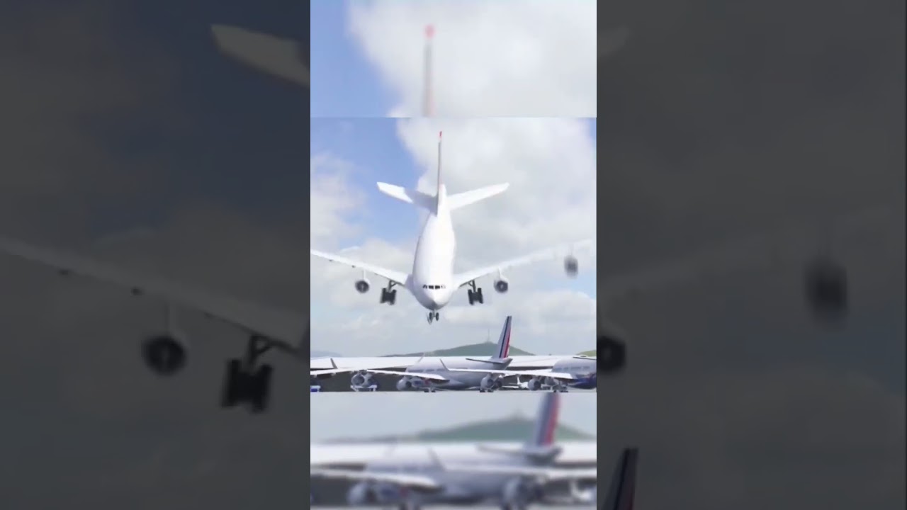 The pilot is confused | #tiktok #shorts #mangolhasa #viralshorts