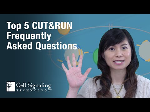 Top 5 CUT&RUN Frequently Asked Questions | CST TECH TIPS