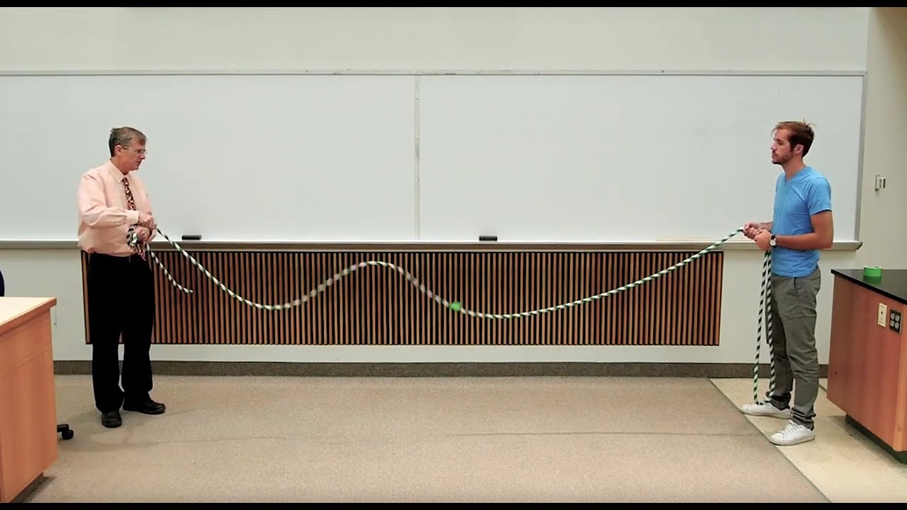 Wave Speed Demo: Rope
