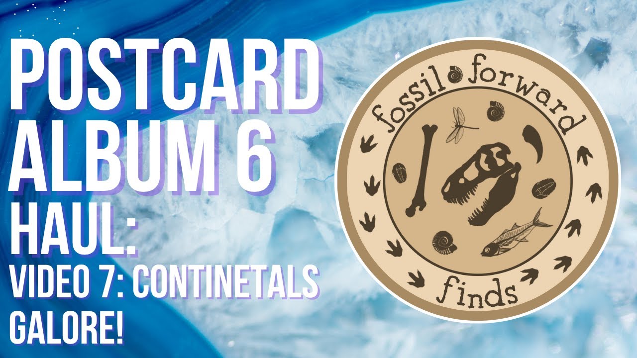 Albany Postcard Estate Sale Haul - Album 6 - Continentals and More!