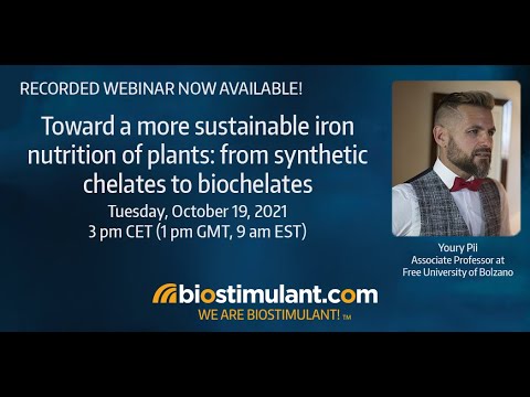 Toward a more sustainable iron nutrition of plants: from synthetic chelates to biochelates