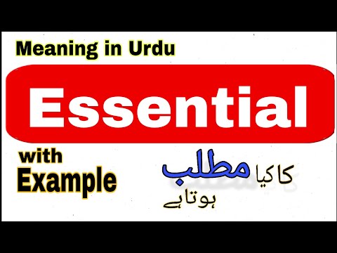 Essential meaning in Urdu/Hindi | Essential ka matlab Kya hota hai |What is the meaning of Essential