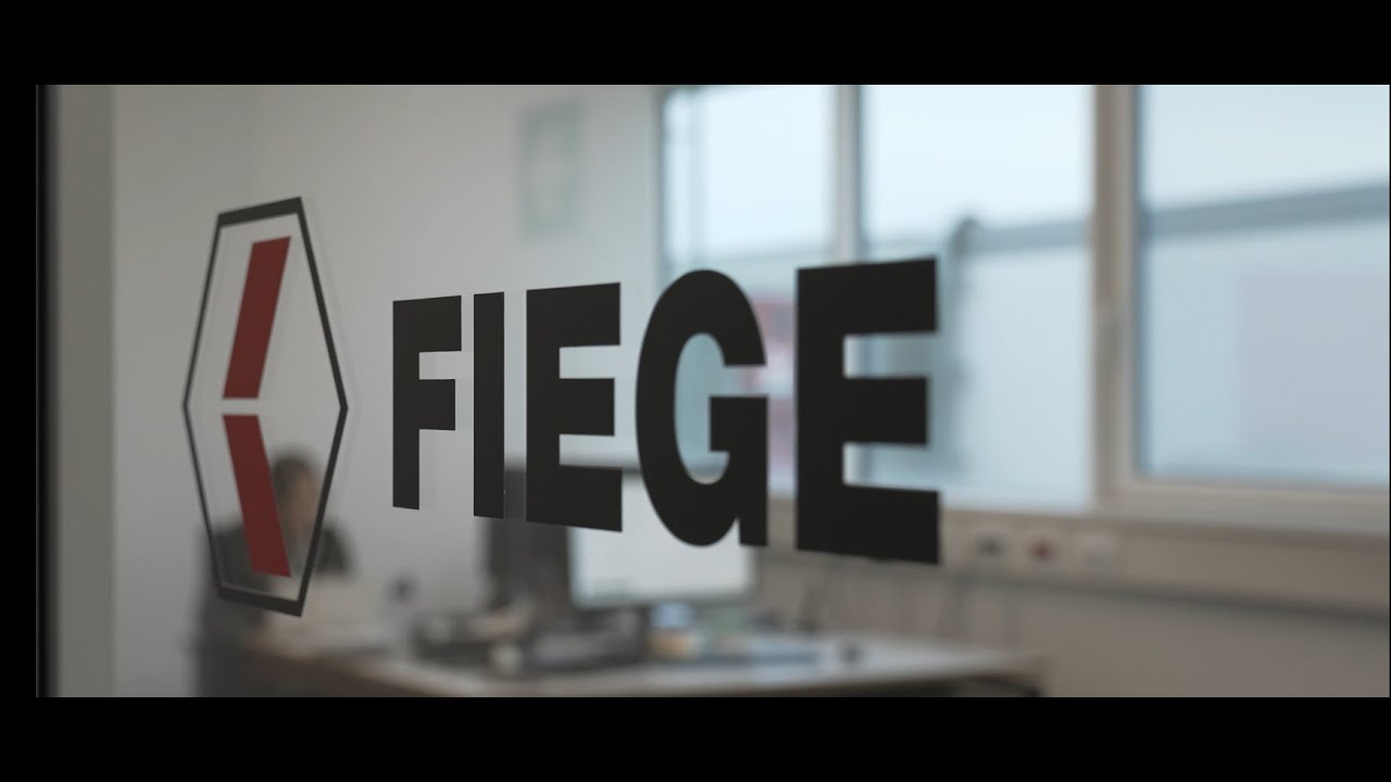 Fiege Logistics Italia — Diversity&Inclusion — IT IS POSSIBLE
