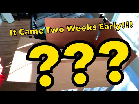 Thrift Store Video Games, GameStop Sale Pickups, & A Special Early Delivery. Live Video Game Hunting