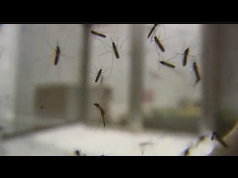 No mosquito spraying on state-owned lands