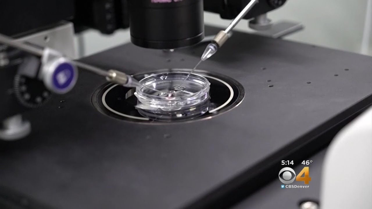 Chinese Scientist Is Behind Controversial Human Embryo Testing