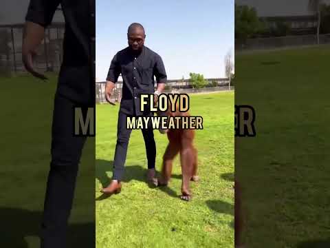 Floyd Mayweather Finds Monkey With $18,000,000 Billionaire Watch!