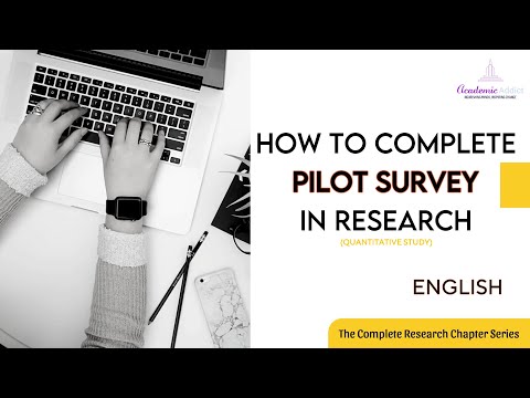 Pilot Survey Explained in Simple Terms! : With 4 key areas! Simply explained.