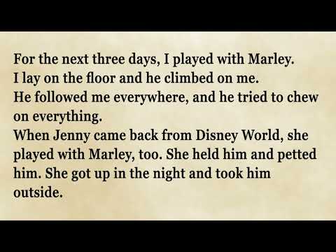 La Vida de mi Perro - Aprende Inglés - Learn English