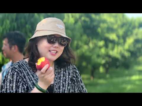 Peach Farm Brian Mathews, Owner, Blue Ridge Farms, Hardin, Illinois, USA - Unravel Travel TV