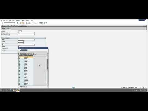 SAP FI - Define Company