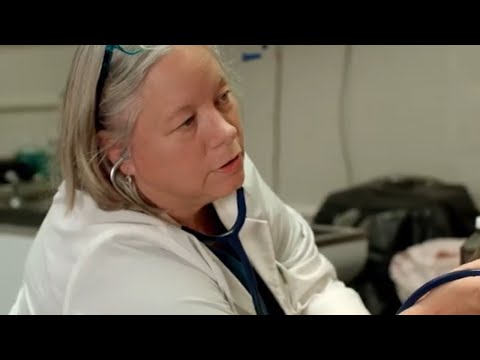 Fran's Story - Wellstar and Mayo Clinic Working together