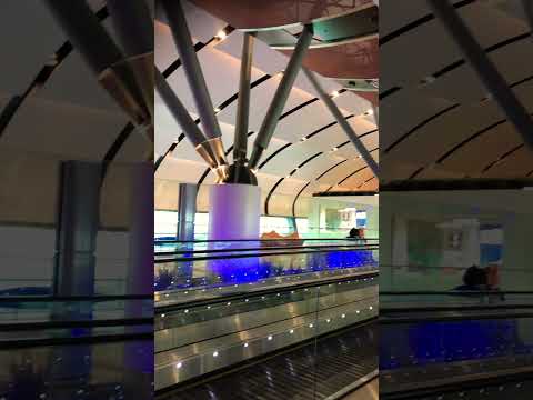 #Oman Airport Transit