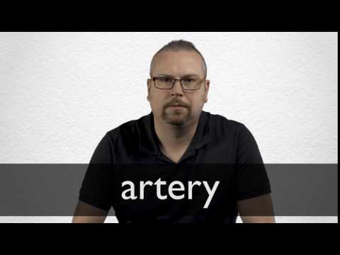 How to pronounce ARTERY in British English