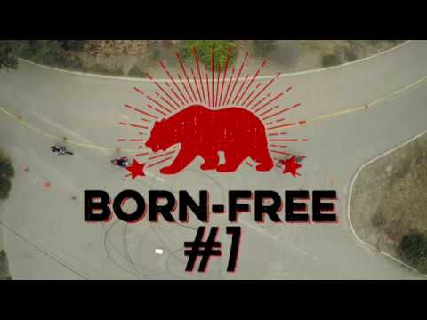 Custom Bikes And Culture - Born Free 7 - Invited Builders - Pt 2