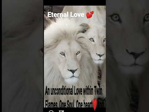 The eternal Love is Twin Flame Love β€οΈ
