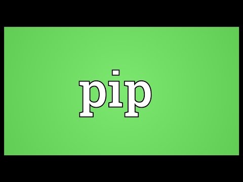 Pip Meaning