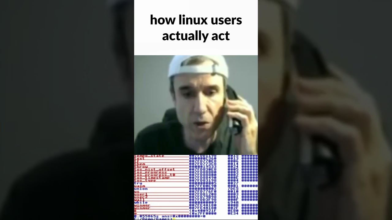 How Windows users thinks #linux users are... #shorts #linux