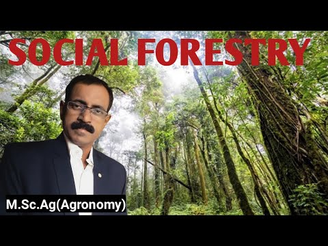 SOCIAL FORESTRY