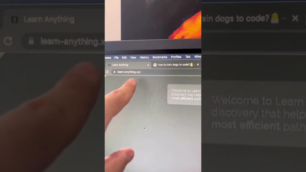 The most useful website to learn anything for free!