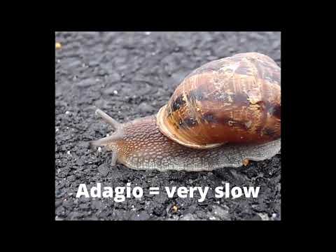 Italian Music Terms on SLOW by Dr. Angela Chan - Piano Pedagogy content
