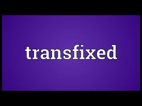 Transfixed Meaning