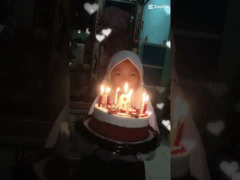 11 November 2025
