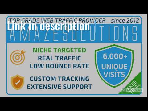 I will bring real visitors, targeted web traffic
