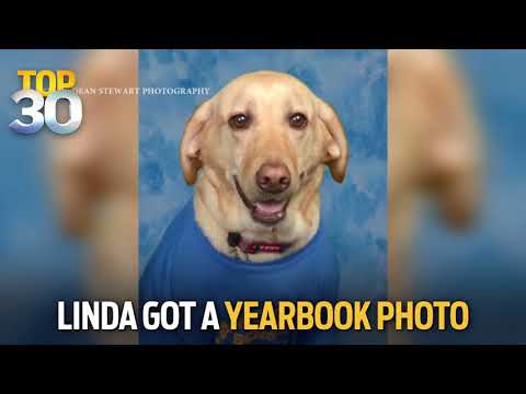 Top 30: Service Dog Honored in School Yearbook