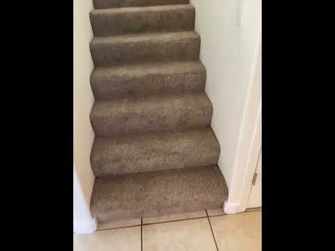 20710 Amber Ct